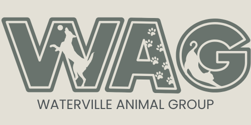 Privacy Policy | Waterville Animal Group
